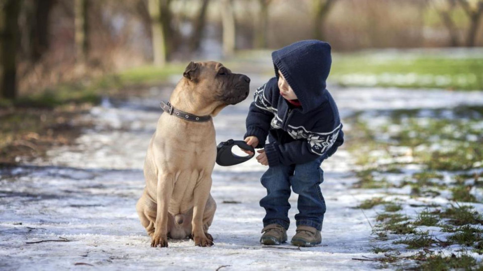 Razas de Perros Ideales para Familias con Niños - PerroPedia